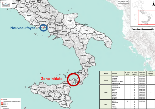 Un foyer d'Aethina tumida détecté en Italie - GDS Centre - Val de Loire